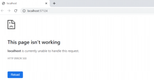 ASP .NET Core Developer Exception Page - Jayant Tripathy