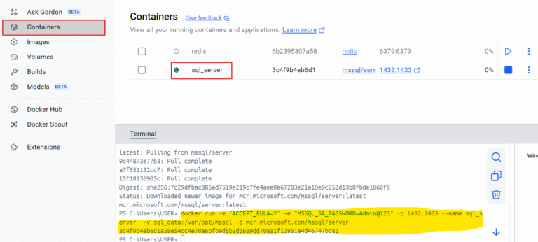 Running Microsoft Sql Server In Docker Vs Code Mssql Extension